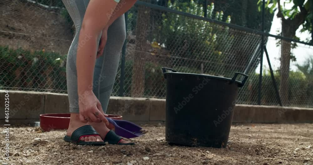 Girl puts chicken poop with a scoop into large basin at sunny day. Real ...