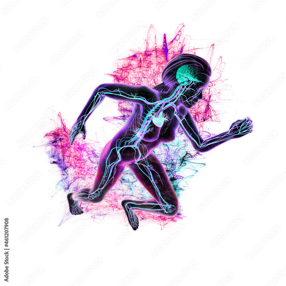 Anatomy, x-ray look of a human body with dynamic glowing energy field ...