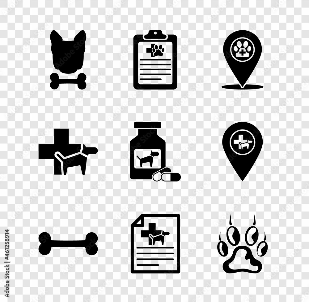 Set Dog and bone, Clinical record pet, Location veterinary, , Medical ...
