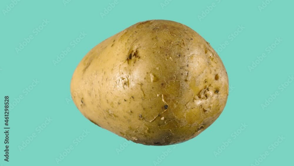 Rotating potato on a blue background. Minimalistic animated design ...