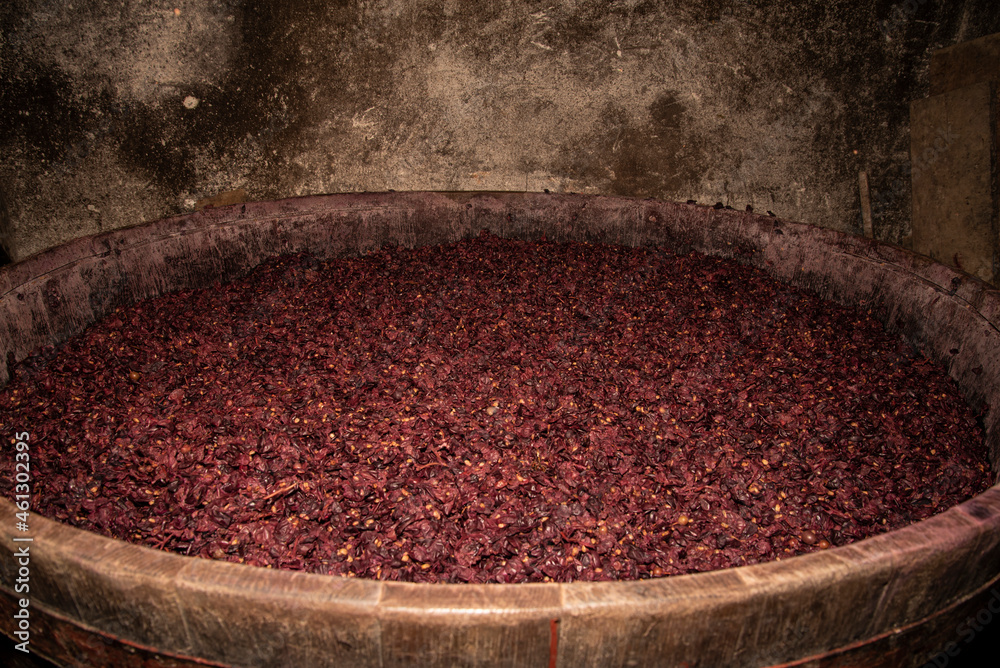 Grapes fermentation in a wooden barrel.wine making process - fermented ...