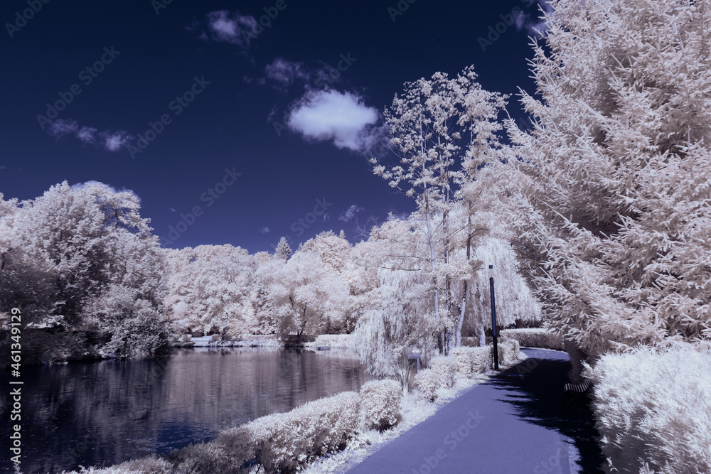 infrared photography - surreal ir photo of landscape with trees under ...