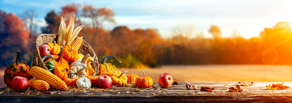 Royalty-free Thanksgiving images | Adobe Stock