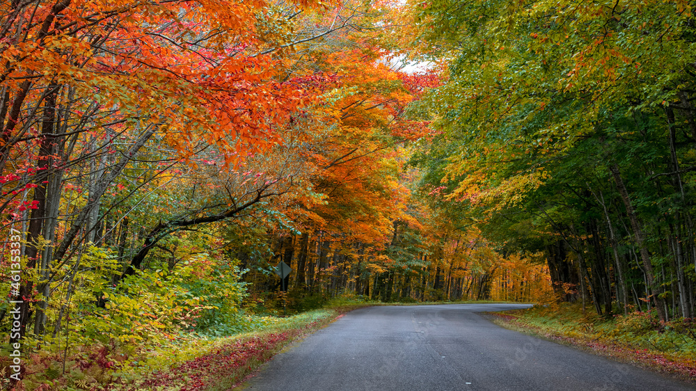 Fall foliage along scenic byway to Presque Isle state park in Michigan ...