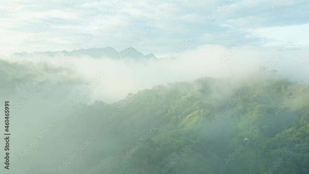 An aerial 4K footage of the jungle in Alta Verapaz near Lanquin on a ...