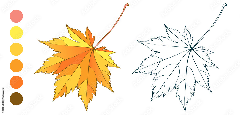 Coloring sheet with orange autumn maple leaf and appropriate color ...
