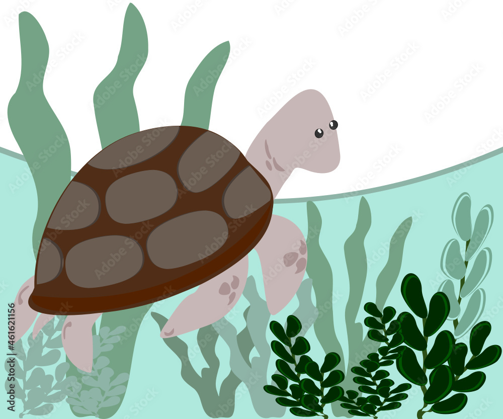 Cute cartoon turtle sea creature illustration vector, frame, boundary ...