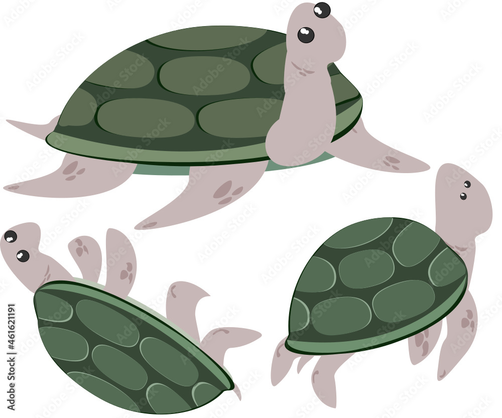 Cute cartoon turtle sea creature illustration vector, frame, boundary ...