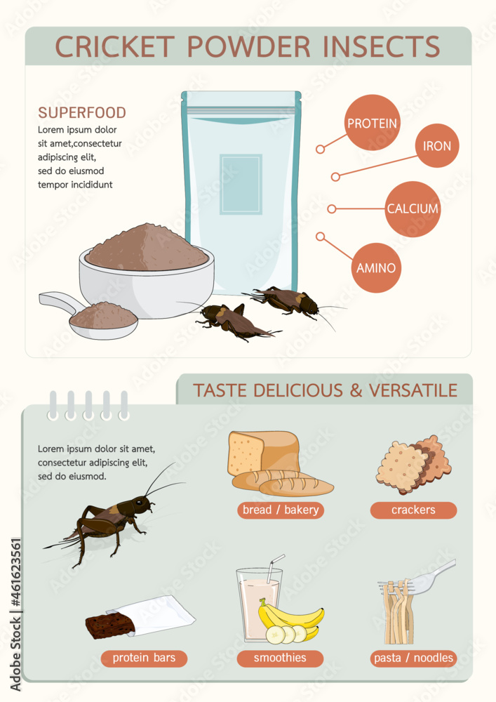 Crickets powder or Gryllus Bimaculatus. Insects powder as food edible ...