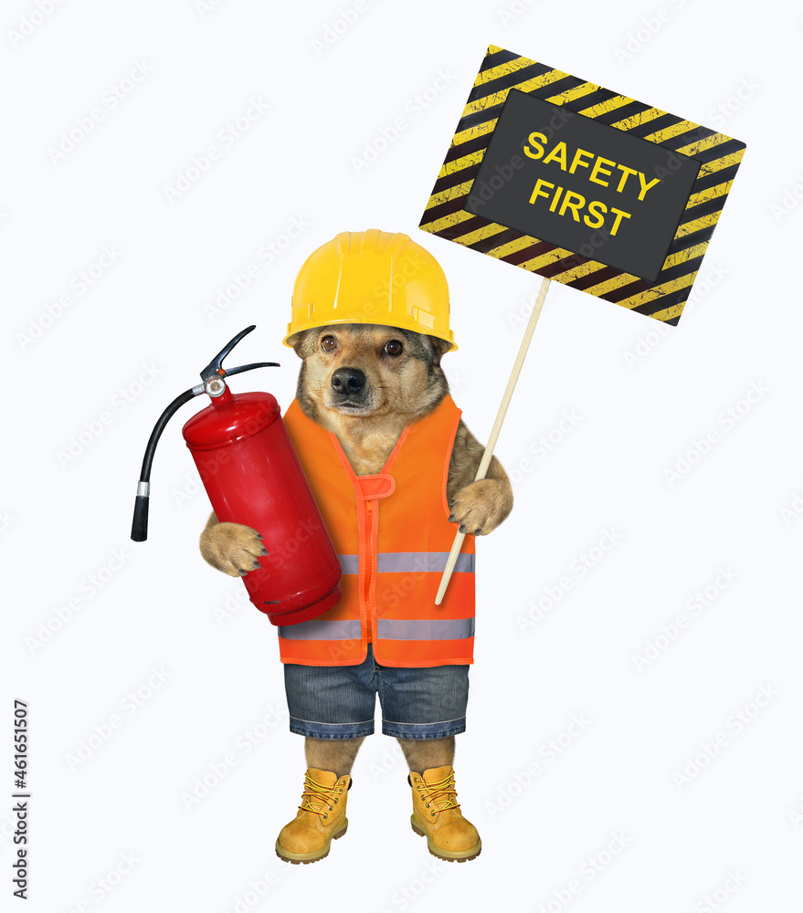 A beige dog in a construction helmet holds a fire extinguisher and a ...