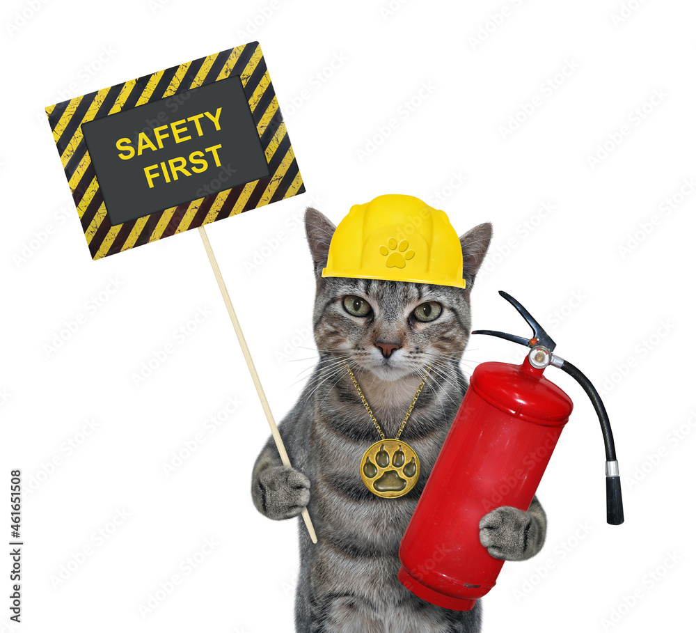A gray cat in a construction helmet holds a fire extinguisher and a ...