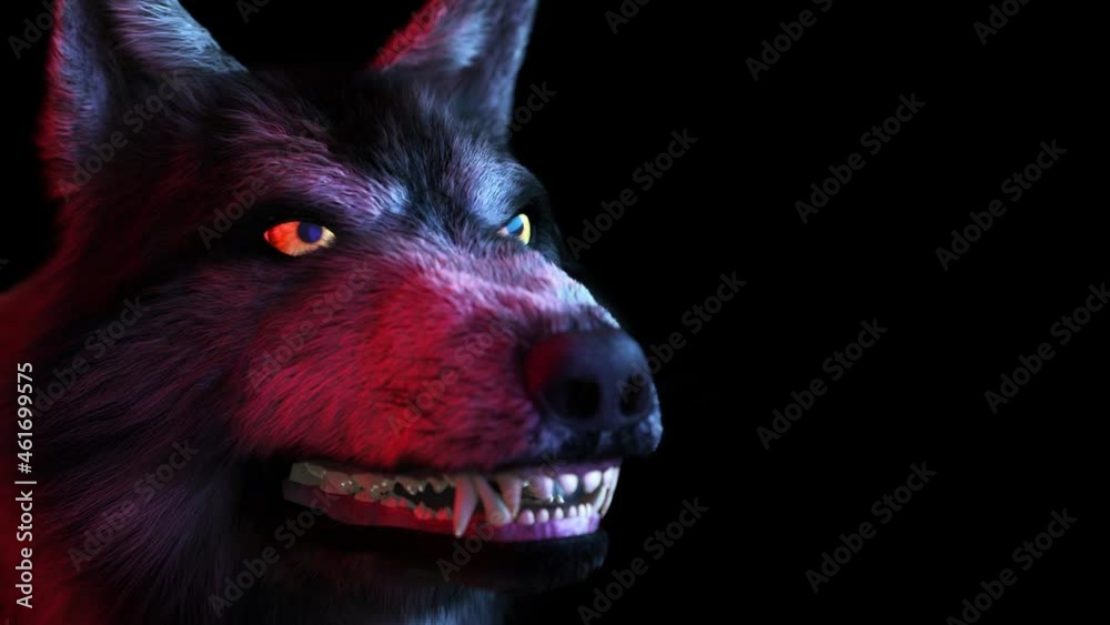 Vídeo do Stock: Scary Wolf: The monster comes out of the dark, growls ...