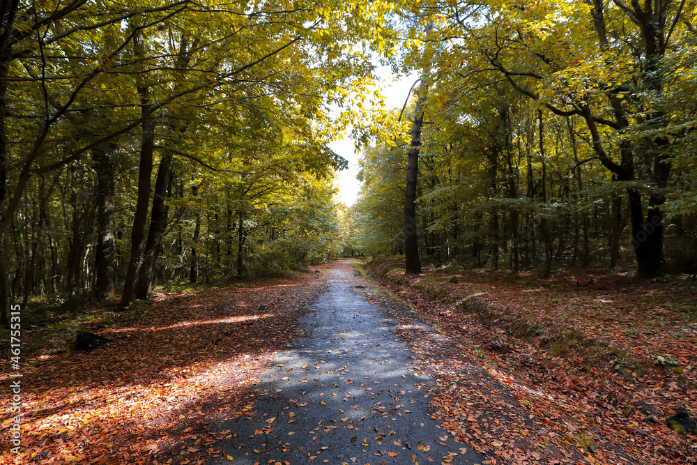 Istanbul - Turkey Arboretum or tree park is essentially a botanical ...
