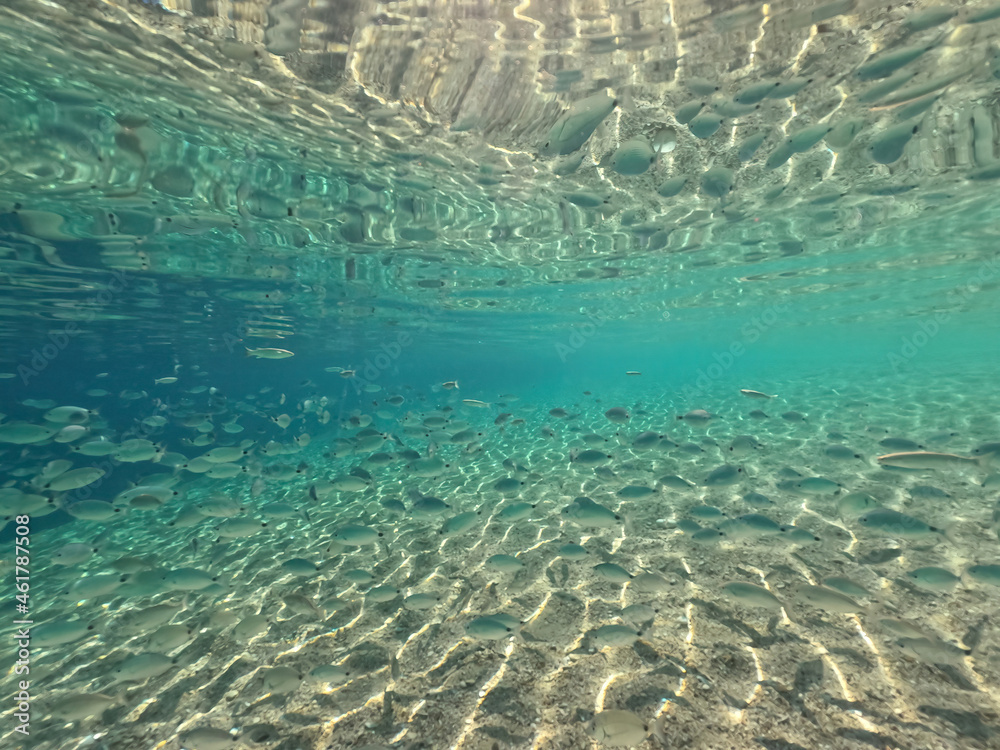 Beautiful underwater split above and below photo of rocky seascape with ...