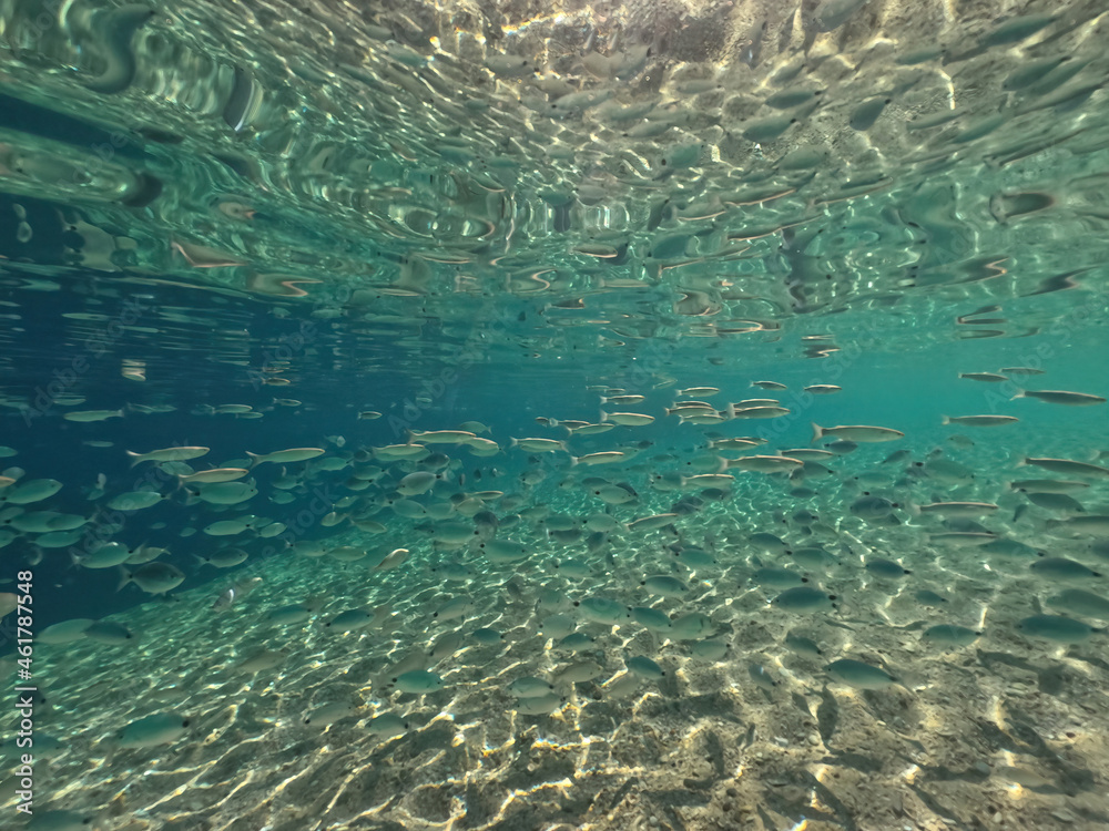 Beautiful underwater split above and below photo of rocky seascape with ...