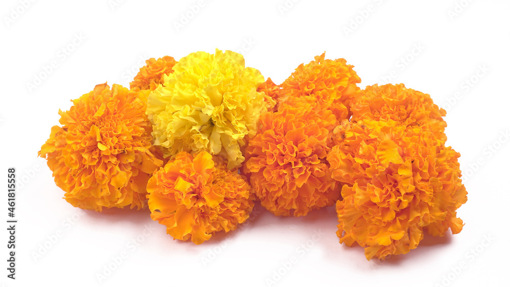 Indian Festival Dussehra, showing golden leaf and flowers on moody ...