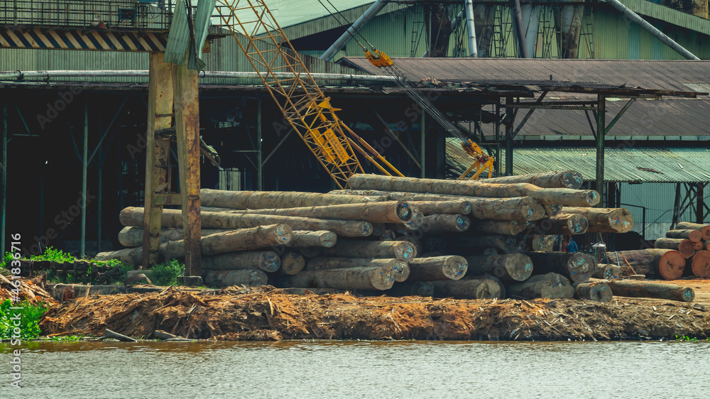 Timber loaded into big barge then drag by a tugboat cruising Mahakam ...