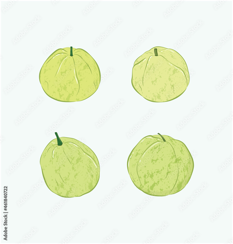 Tropical green Taiwanese Guava with different angles in cute realistic ...