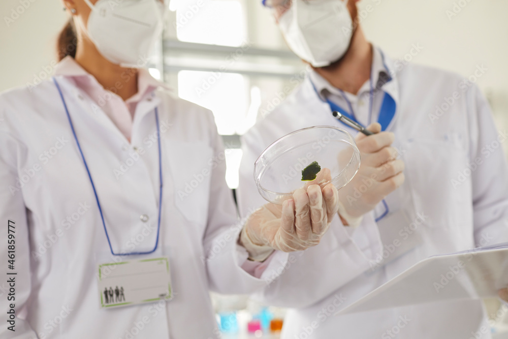Group of researchers working in scientific laboratory. Two scientists ...