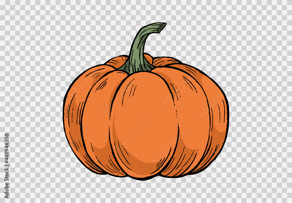 Pumpkin hand draw brush paint style isolated on png or transparent ...