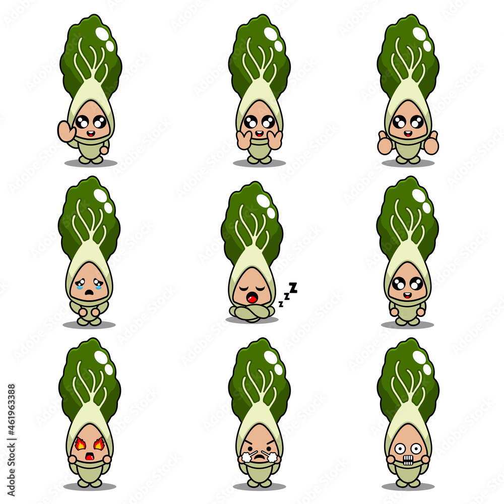 pakcoy mascot costume vector cartoon character illustration cute ...