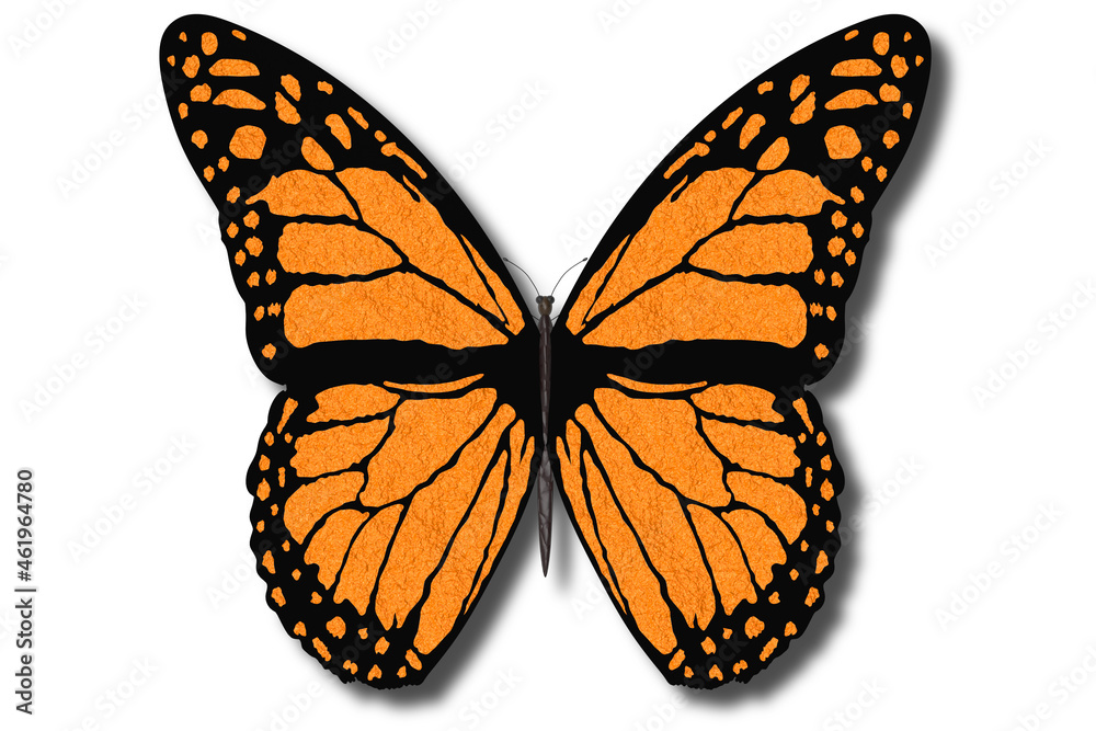 Farfalla colorata vola con le ali aperte su sfondo bianco.. Stock ...