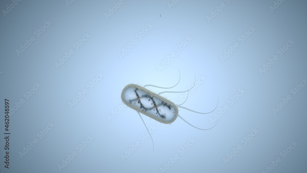 Escherichia Coli (E. Coli.), gram-negative rod-shaped bacteria, part of ...