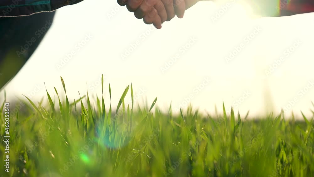 Agriculture. Farmers handshake in field. Agribusiness. Agricultural ...