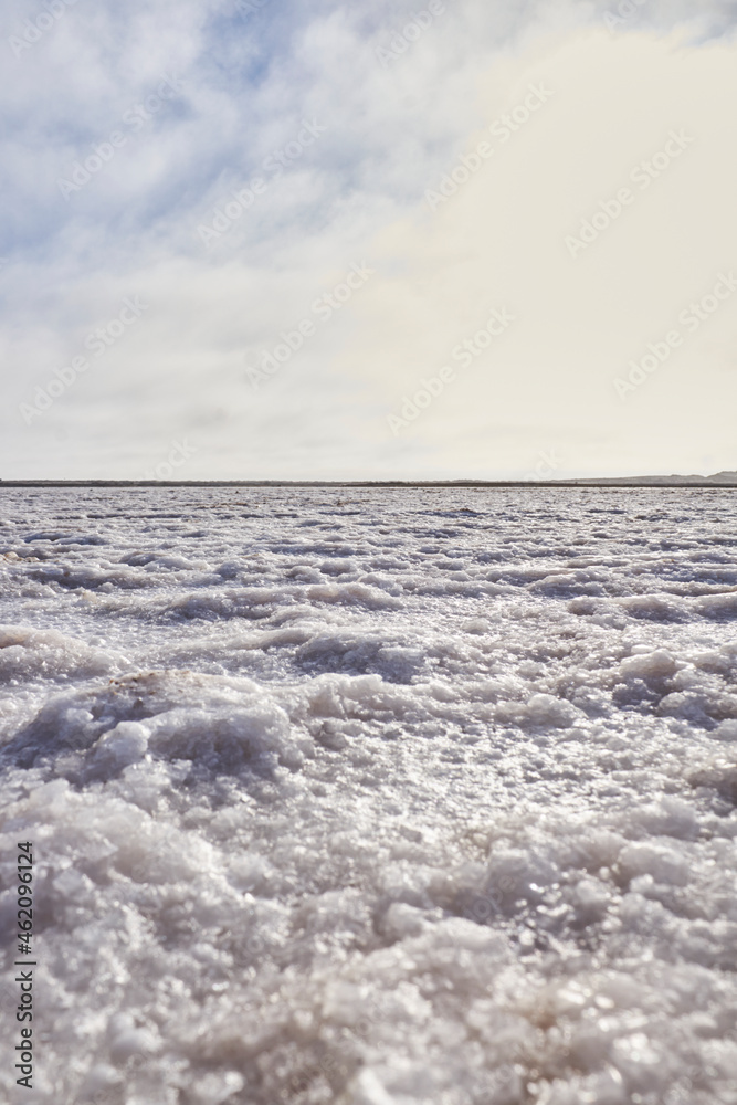 Salar de Negritos en La Brea, Talara, Piura, Perú. Stock Photo | Adobe ...