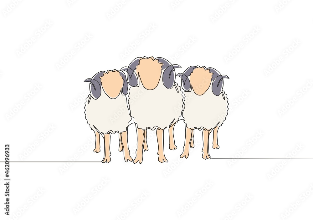 Single continuous line drawing of three sheeps lining up. Muslim ...