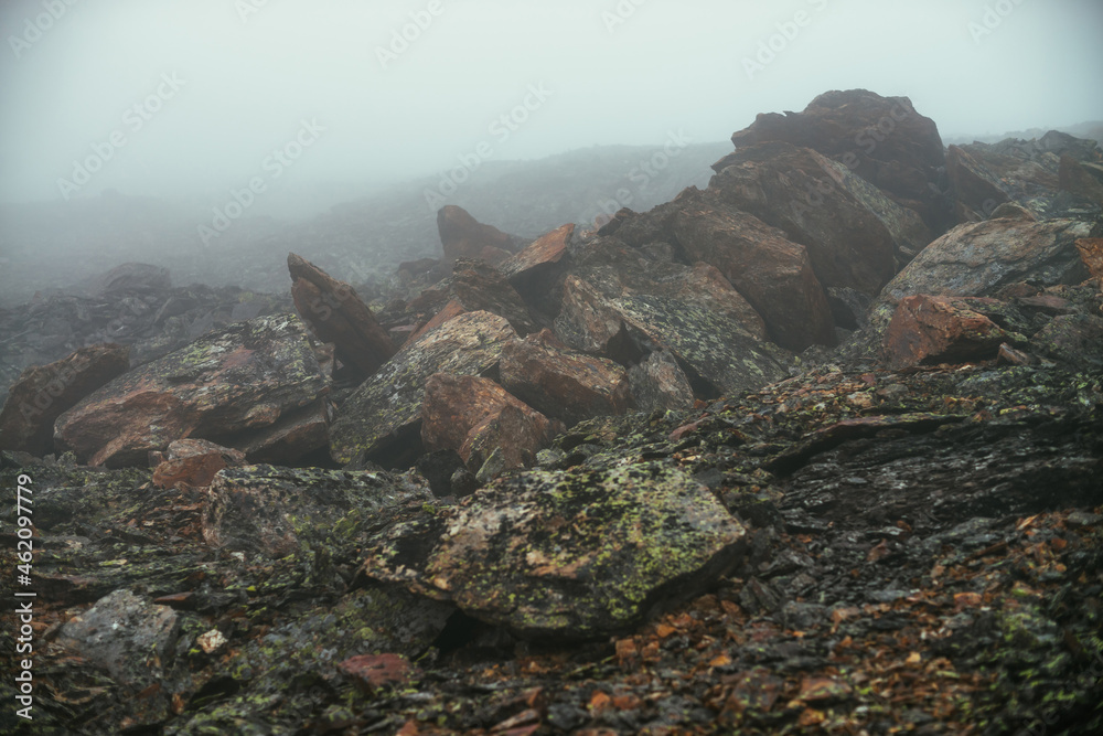 Stone field in dense fog in highlands. Empty stone desert in thick fog ...