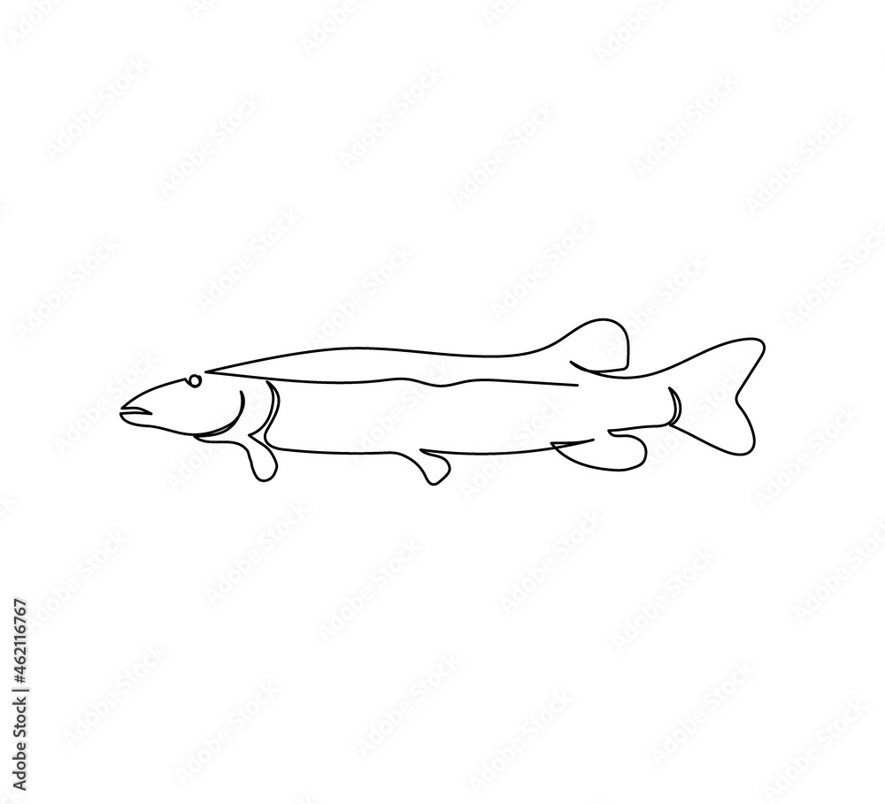 Pike, freshwater fish continuous line drawing. One line art of ...