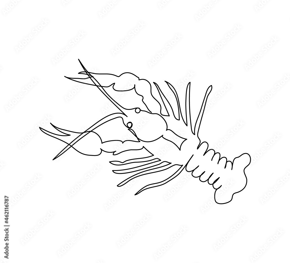 Crayfish, lobster, astacidea continuous line drawing. One line art of ...
