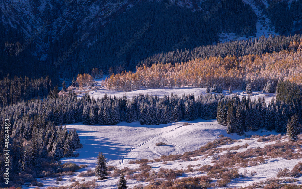 Snowy morning in the mountains, winter comes on the heels of autumn ...