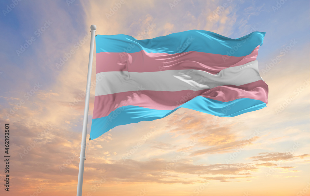Transgender Pride flag waving in the wind at cloudy sky. Freedom and love concept. Pride month ...
