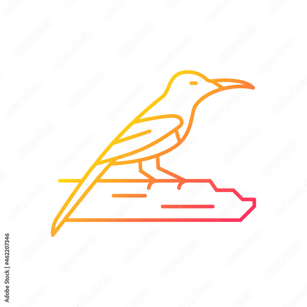 Crimson sunbird gradient linear vector icon. Tropical asian bird ...