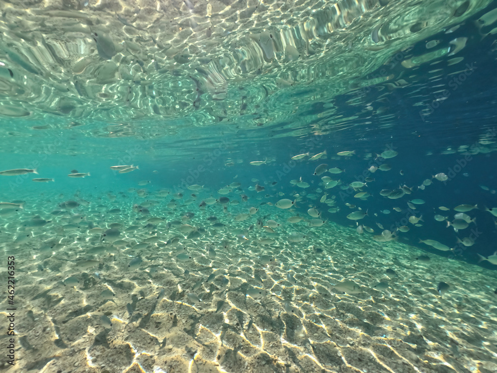 Beautiful underwater split above and below photo of rocky seascape with ...