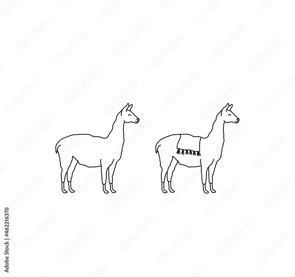 Vector isolated two cute cartoon drawn alpacas contour line drawing ...