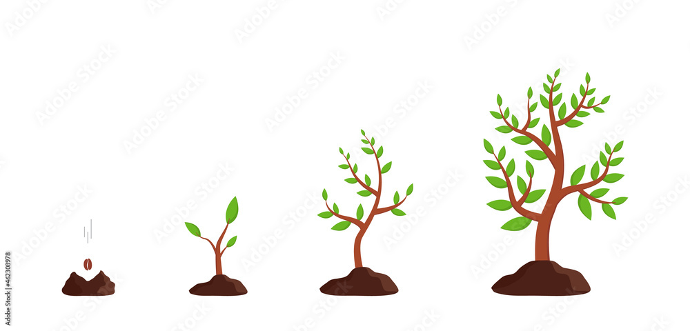 Plant growth from seed to tree. Sprout grow in soil. Icon of process germination of sapling ...