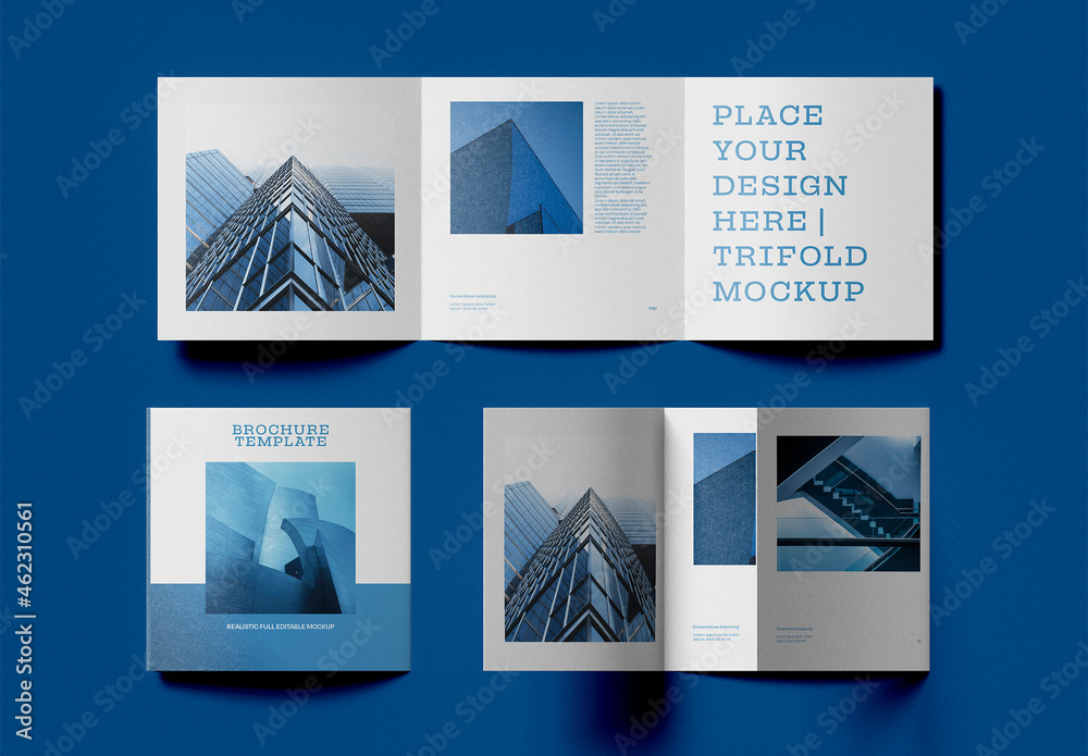 Three Brochure Layout Mockup Stock Template | Adobe Stock