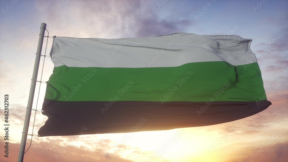 Neutrois pride flag waving in the wind, sky and sun background. 3d ...