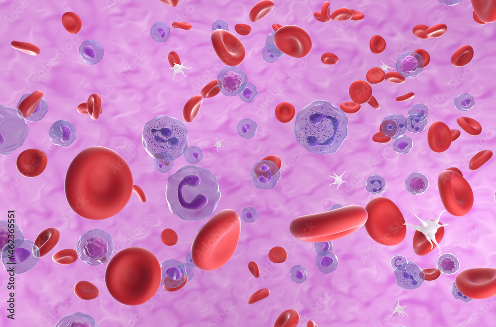 Red and white blood cells with platelets – isometric view 3d ...