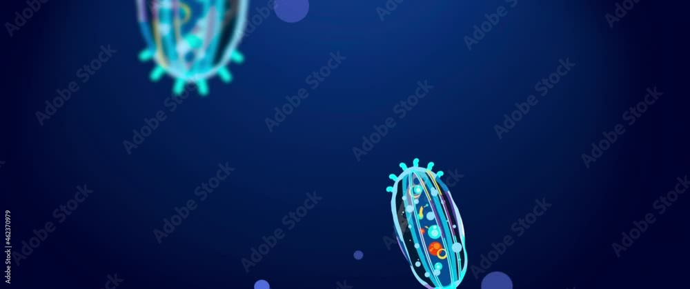 Flat animation of motile bacteria under a microscope. Flagellates float ...
