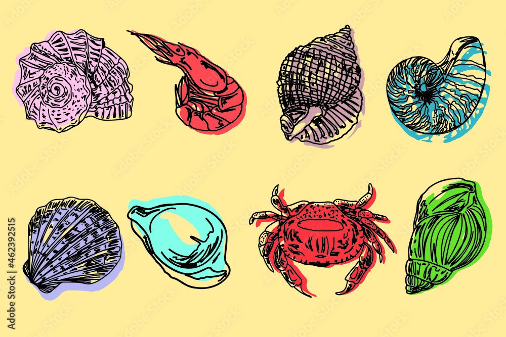 Sea shells vector set illustration. Pastel coloured differnt shaped sea ...