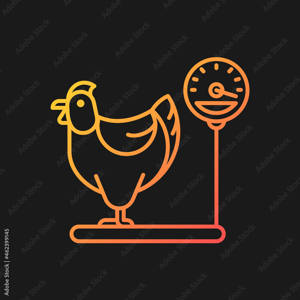 Jersey giant hen gradient vector icon for dark theme. Biggest chicken ...