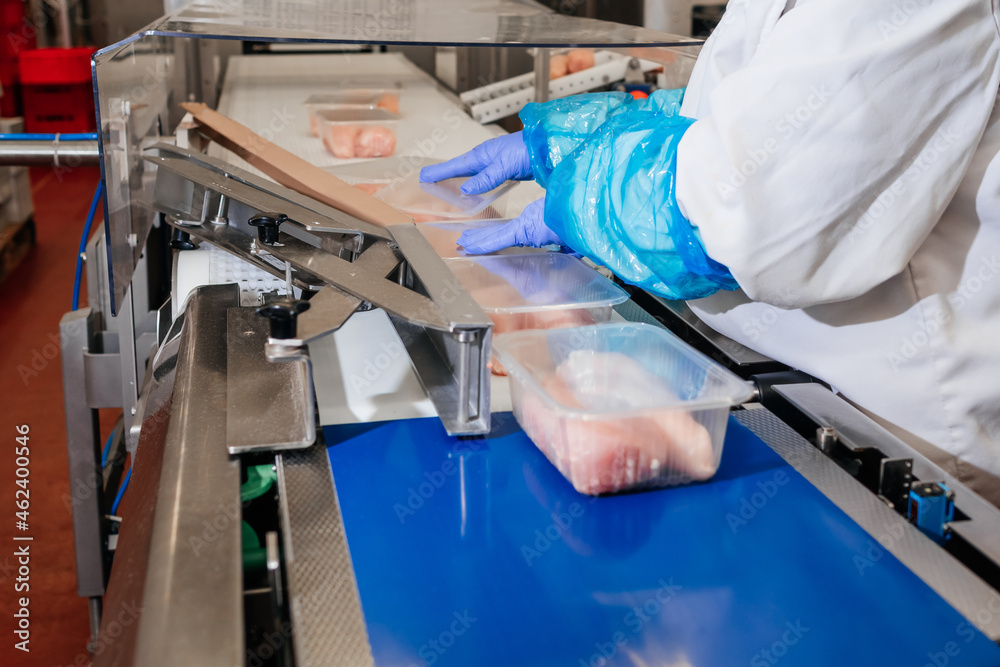 Meat processing equipment. Food products meat chicken fillet production ...