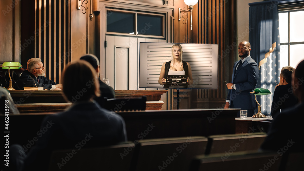 Court of Law Trial in Session: Portrait of Charismatic Male Public ...