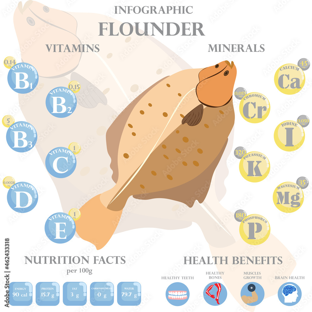 Flounder nutrition facts and health benefits infographic Stock Vector ... Flounder nutrition facts and health benefits infographic Stock Vector ...