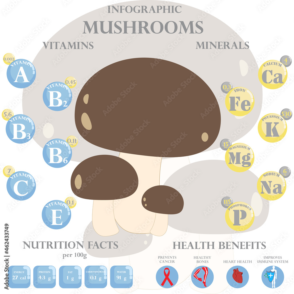 Mushrooms nutrition facts and health benefits infographic Stock Vector ...