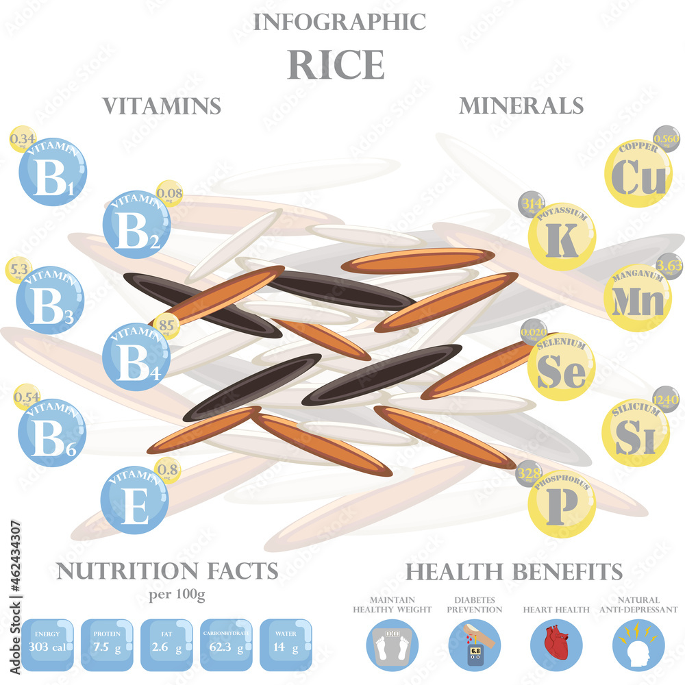 Rice nutrition facts and health benefits infographic Stock Vector ...